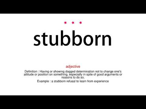 How to pronounce stubborn - Vocab Today