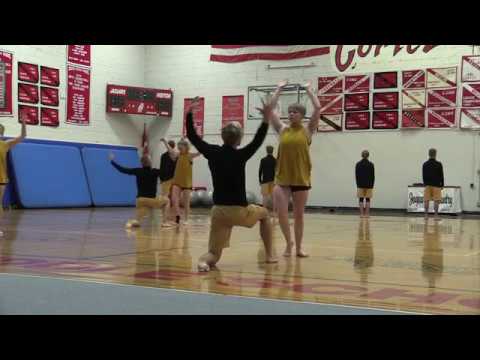 Danish Gymnasts visit CMS