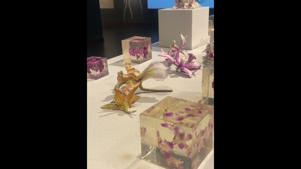 #adayinmylife Music: TarangMusician: ASHUTOSHSite: https://www.ashutoshmusic.com