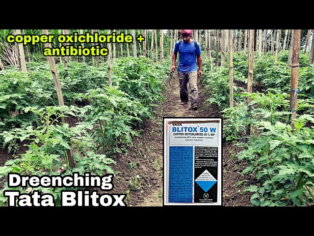 Agricultural Fungicides - Stargem 45 Fungicide Wholesale Distributor ...