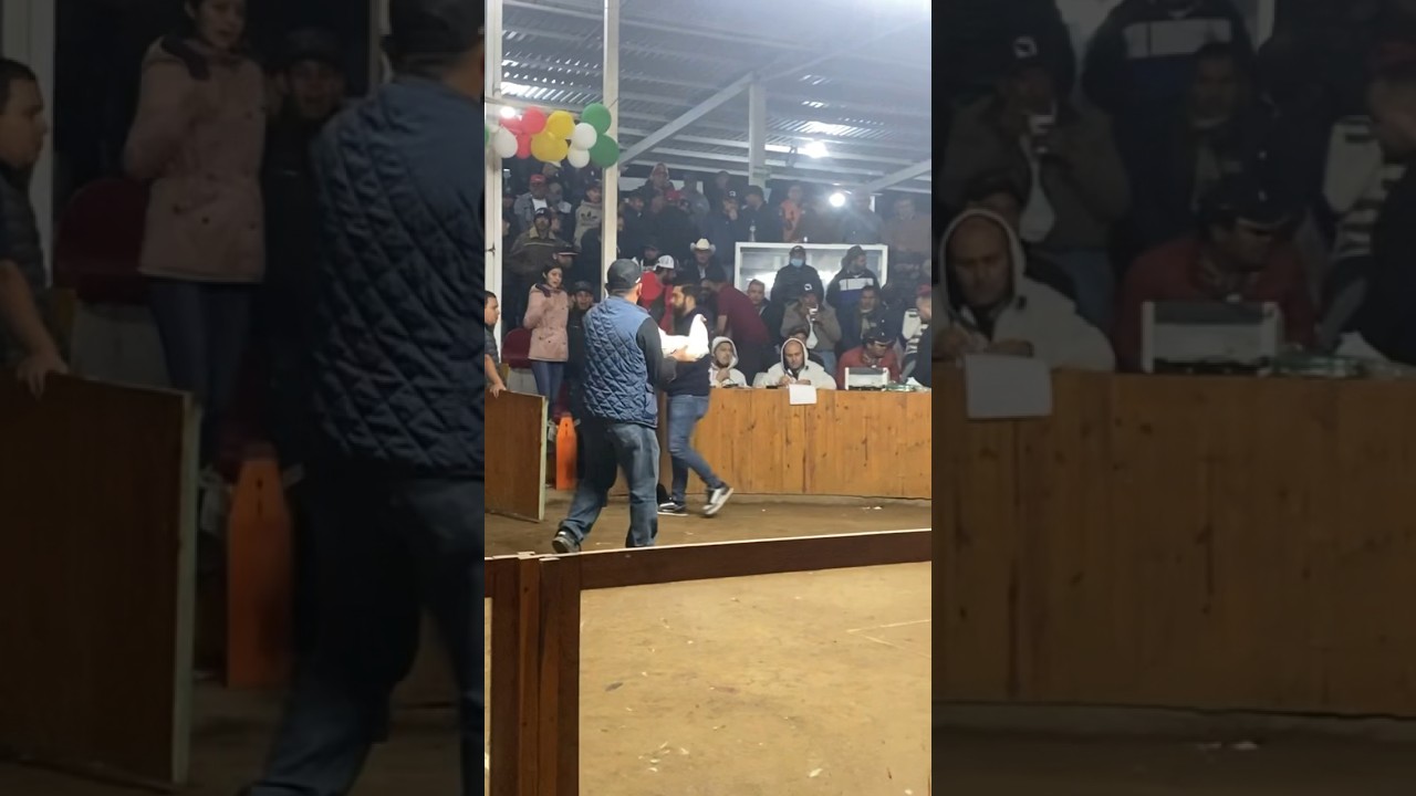 Cockfighting in Mexico 🐓🇲🇽
