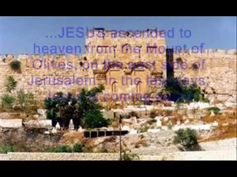 42 months in Bible Prophecy (Timeline 1967)