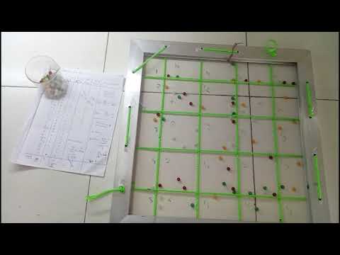 plant population density and frequency by quadrat method | 12th biology | practical number 23 & 24