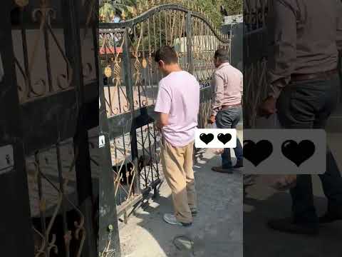 Jimmy Sher Gill movie #shorts #jimmyshergill #jimmyshergillsongs