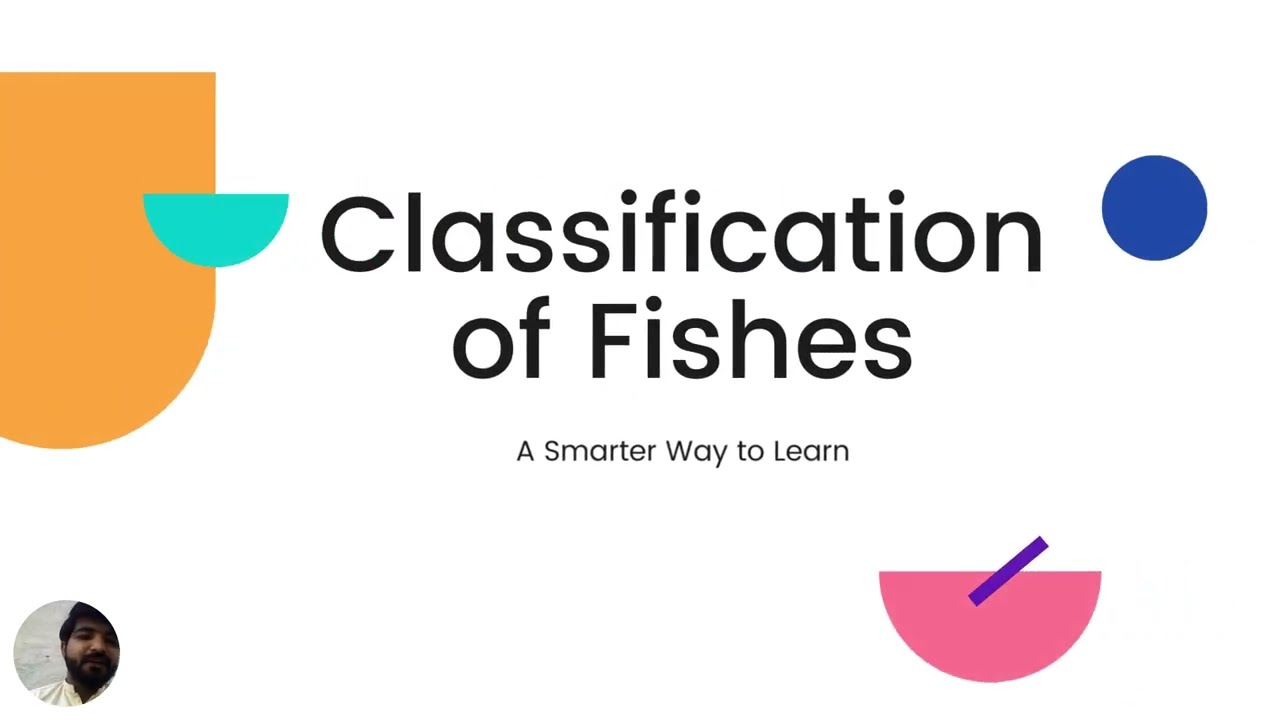 Classification of Fishes I Super Class Agnathans I Super Class Gnathostomes
