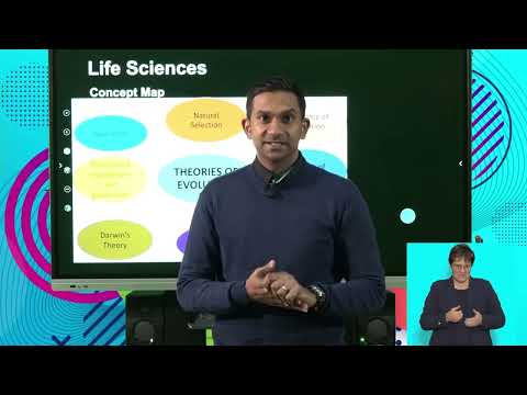 Life Sciences Grade 12 Revising Human Evolution