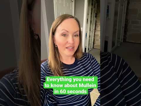 Everything you need to know about Mullein in 60 seconds #youtube #youtubeshorts #health #breathe