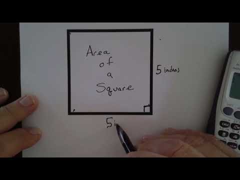 How to Find the Area of a Square