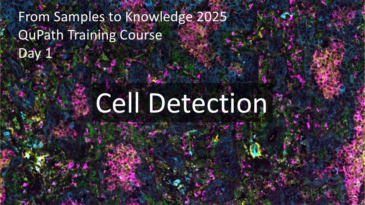 Mastering Cell Detection in QuPath: From Standard Methods to Deep Learning