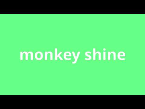 what is the meaning of monkey shine.
