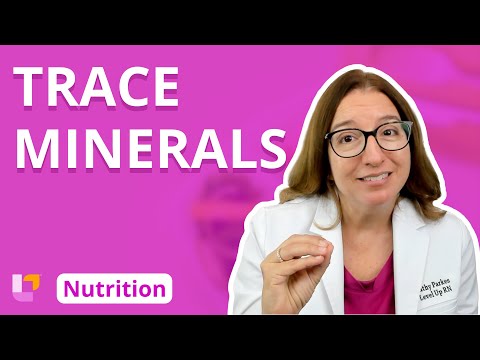Trace Minerals - Nutrition Education for Nursing Students | @LevelUpRN