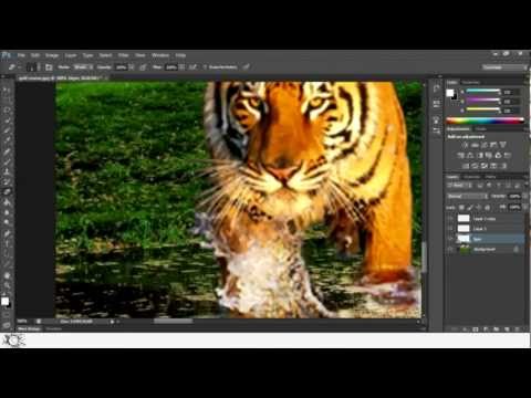 "Rawr" photomanipulation HD Speed art Adobe Photoshop CS6