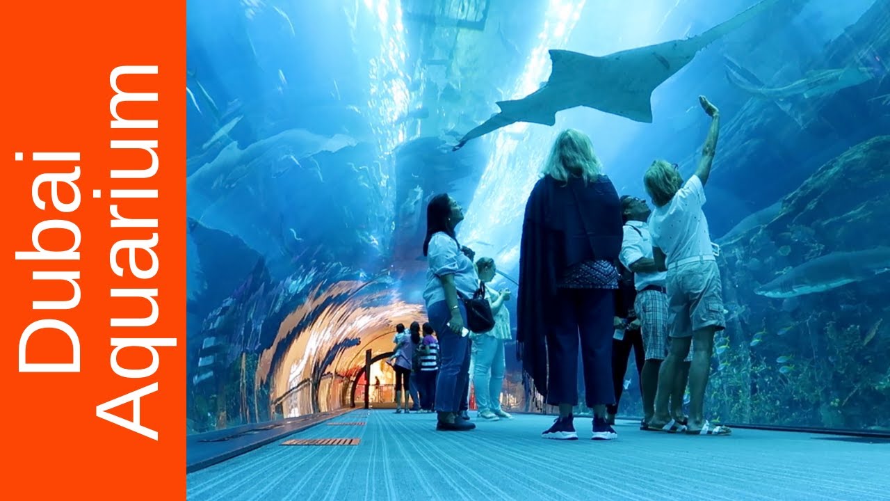 Dubai Aquarium & Underwater Zoo