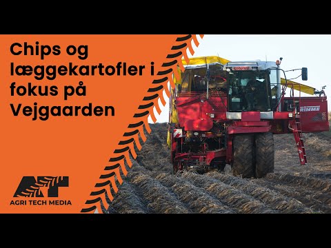 🇩🇰 Chips- og læggekartofler er i fokus hos Vejgaarden