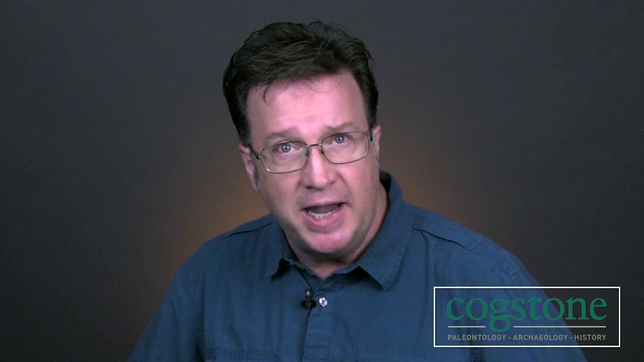 I found mammoth bones on my project - what do I do?