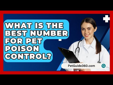 What Is The Best Number For Pet Poison Control? - PetGuide360.com
