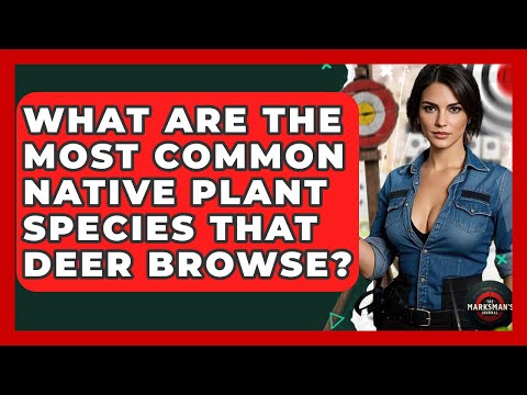 What Are The Most Common Native Plant Species That Deer Browse? - The Marksman's Journal