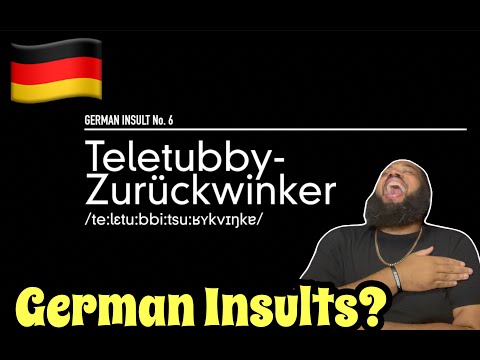 AMERICAN REACTS to 9 Savage German Insults you should start using 🇩🇪