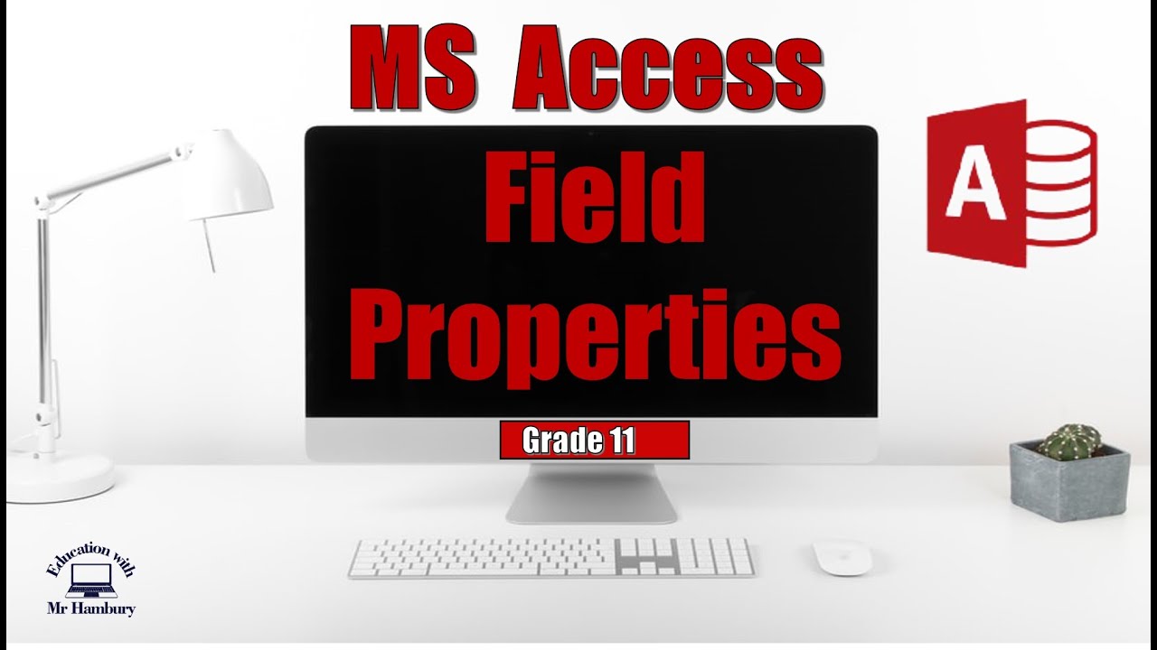 What are Field Properties in MS Access ?