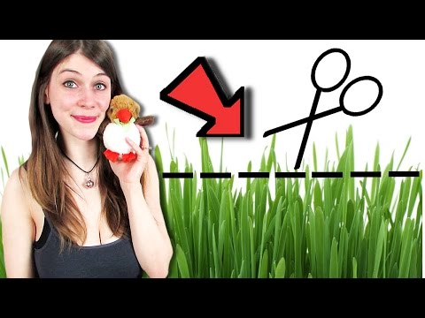 SPIEßER! Funny German Nicknames for STUFFY or GREEDY PEOPLE