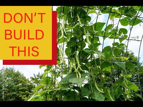 Cattle panel trellises don't work. Here is the reason and fix.