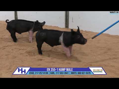 EN 355 1 Heimer Apr 2 Sale
