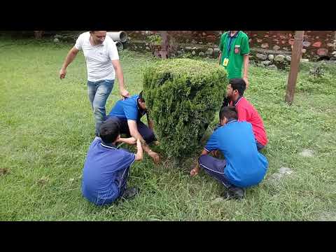 Kendriya Vidyalaya (KV), Khairi, Chamba: Admission, Fee, Affiliation