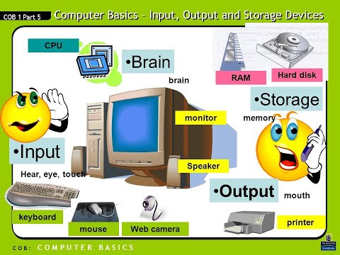 ICT Worksheet 3, basic concept of hardware,software,input and output devices, ICT Learning for all