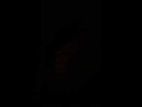What does this sound and the cannon event mean? #music #questions