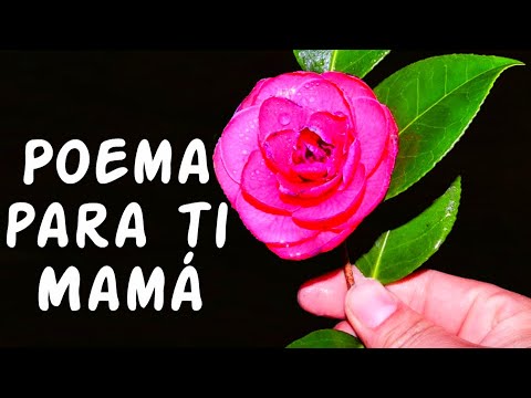 Feliz Día de las Madres - Abrelo - Poema para la Mamá mas Bella del Mundo