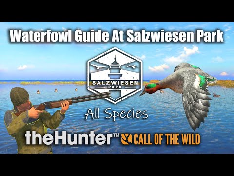 Steam Community :: Video :: Waterfowl Guide For All Species At ...