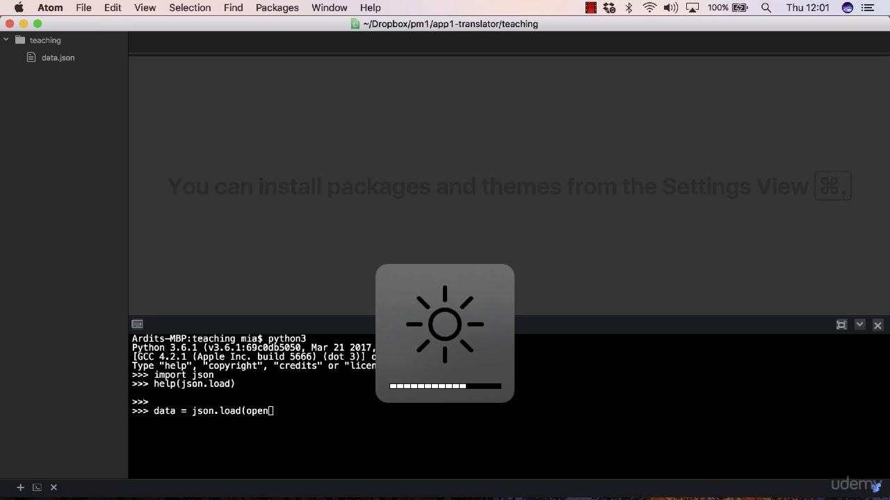 Loading the JSON Data into a Python Dictionary