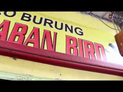 Species in Crisis: The Wild Bird Trade in Indonesia