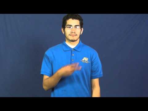 American Sign Language ASL Video Dictionary - spirit away