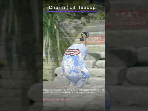 Steam Community :: Video :: CS2 | Lil' Teacup | Snoop Dogg Pattern
