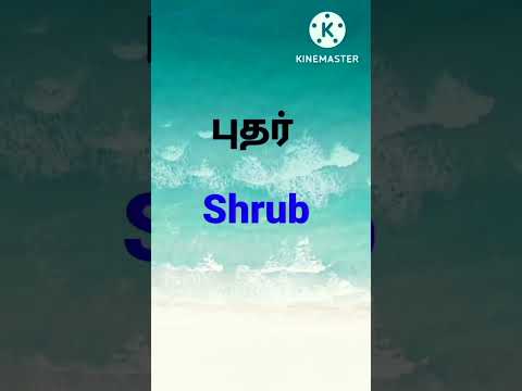 புதர் meaning in English Spoken English through Tamil/Shrub meaning in Tamil/Bush meaning in Tamil/