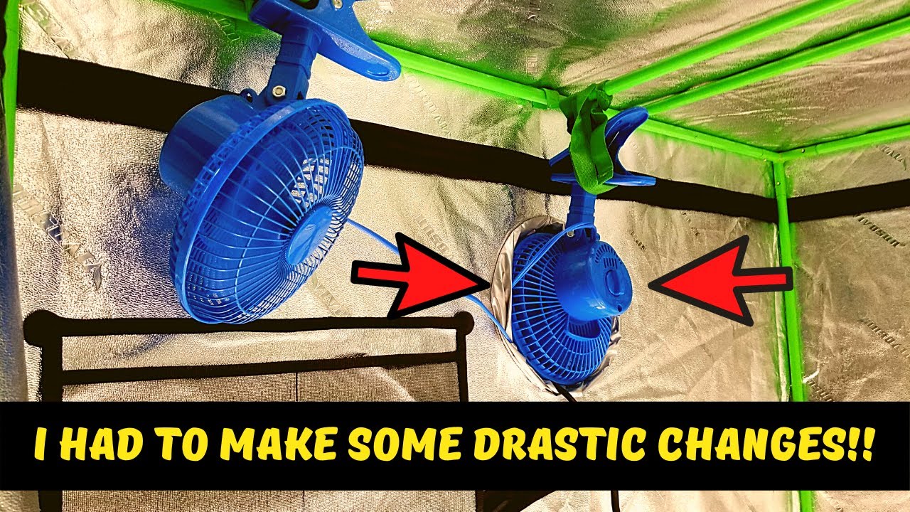 I Had To Make Some Drastic Changes  ||  Cross Ventilation