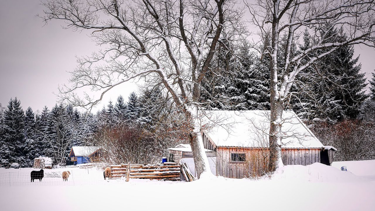 Planning a Homestead (v2024)
