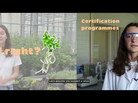 High-throughput sequencing: A gift for plant health