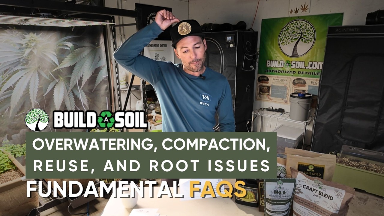 BuildASoil: Overwatering, Compaction, Reuse, and Root Issues | Fundamental FAQ Series 2026