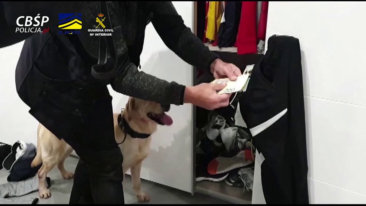 Cae la red de tráfico de marihuana más activa en Europa