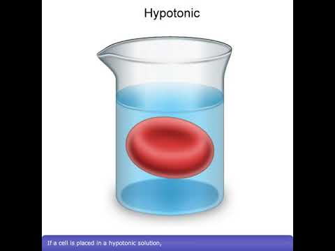 Detailed Animation on Tonicity