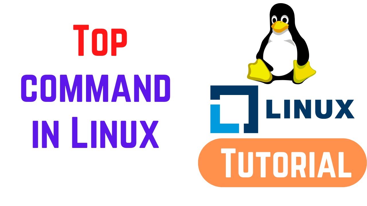 Top command in Linux with examples | How to Use Linux Top Command