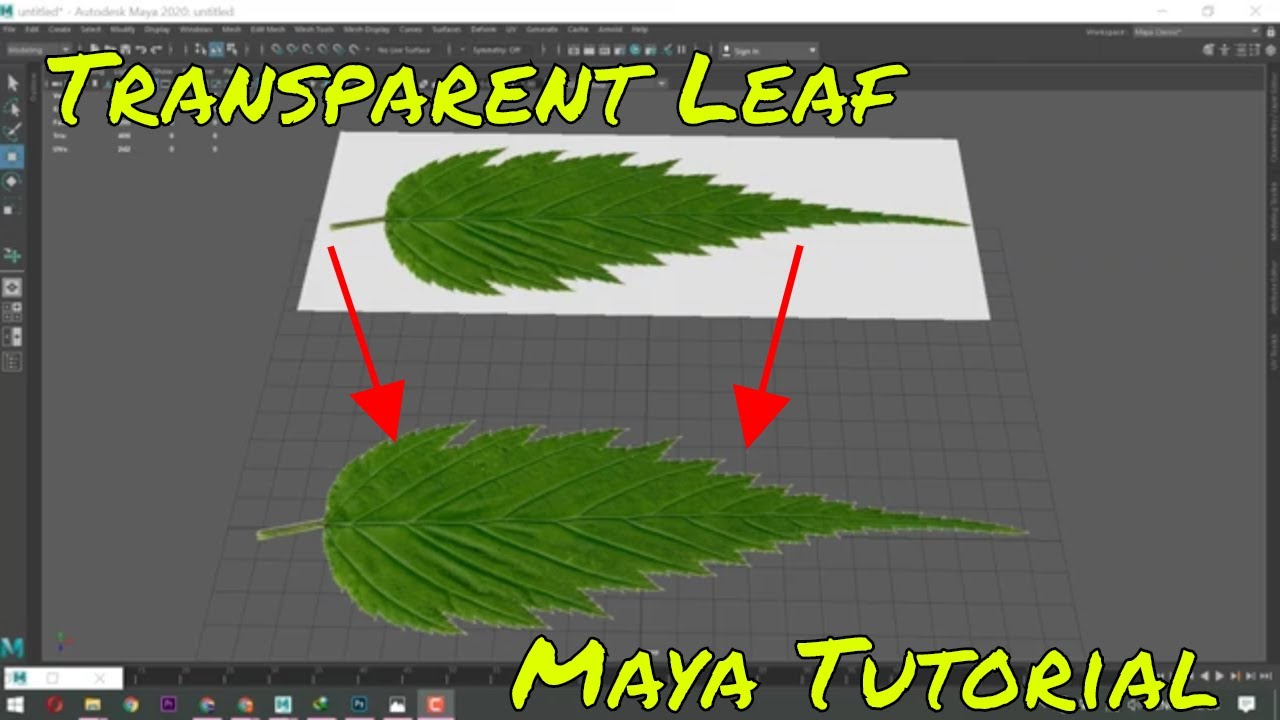 Transparent Leaf  [Maya Tutorial]  | Rees3D.com