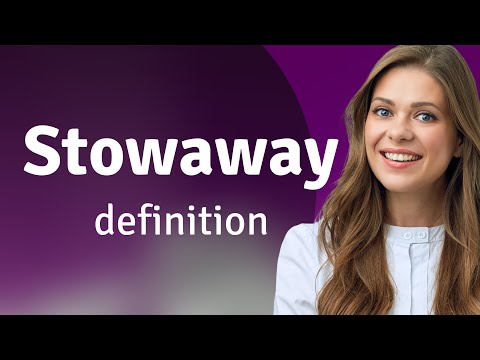 Stowaway • definition of STOWAWAY
