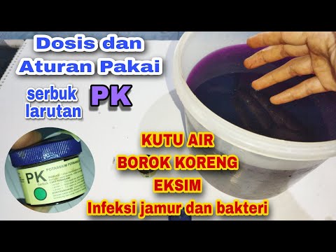 Dosis dan Cara Pemakaian PK serbuk Untuk Obat Borok Eksim Koreng dan infeksi jamur