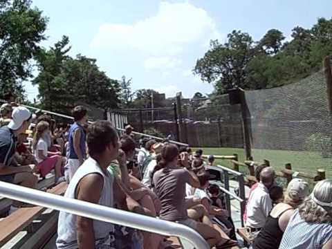 Zoo 2007
