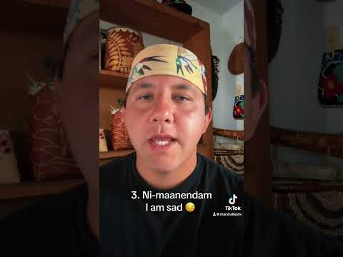 Say How You Feel — Ojibwe Words for Emotions #learnontiktok #learnonyoutube #ojibwe #anishinaabe #fy