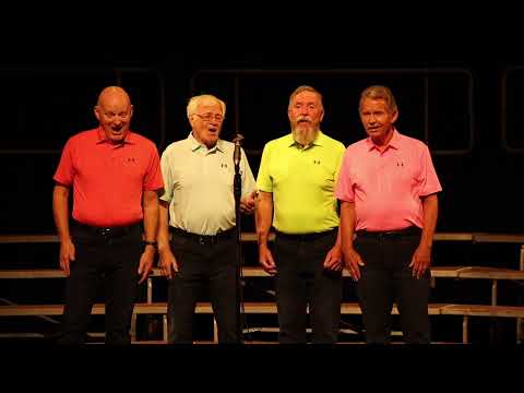 The Northern Incontinental Quartet - There Never Was A Gang Like Mine & I'd Love To Meet That ....
