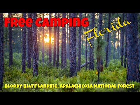 Free Camping: Bloody Bluff Landing, Apalachicola, FL- Campground Review
